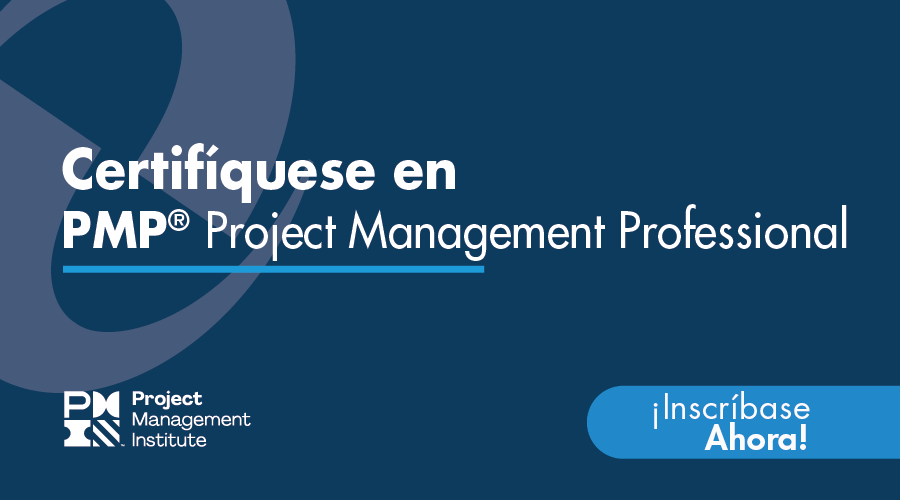 PMP Project Management Professional